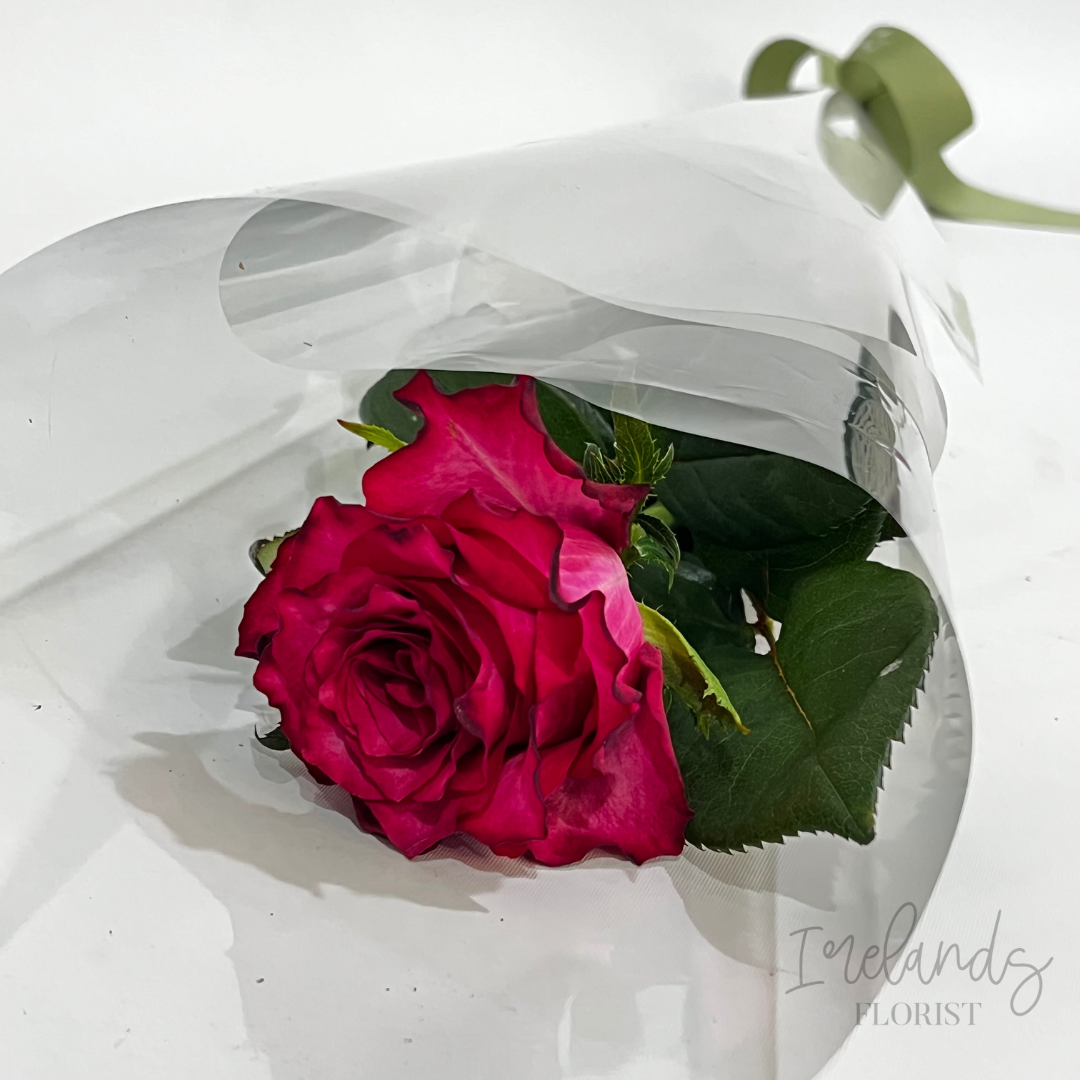 Fresh Seasonal Roses | Ireland’s Florist Sunbury — Irelands Florist